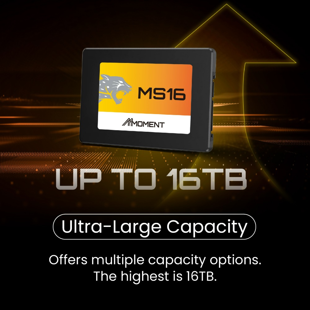 MS16 SATA III SSD-Moment Semiconductor, Inc.